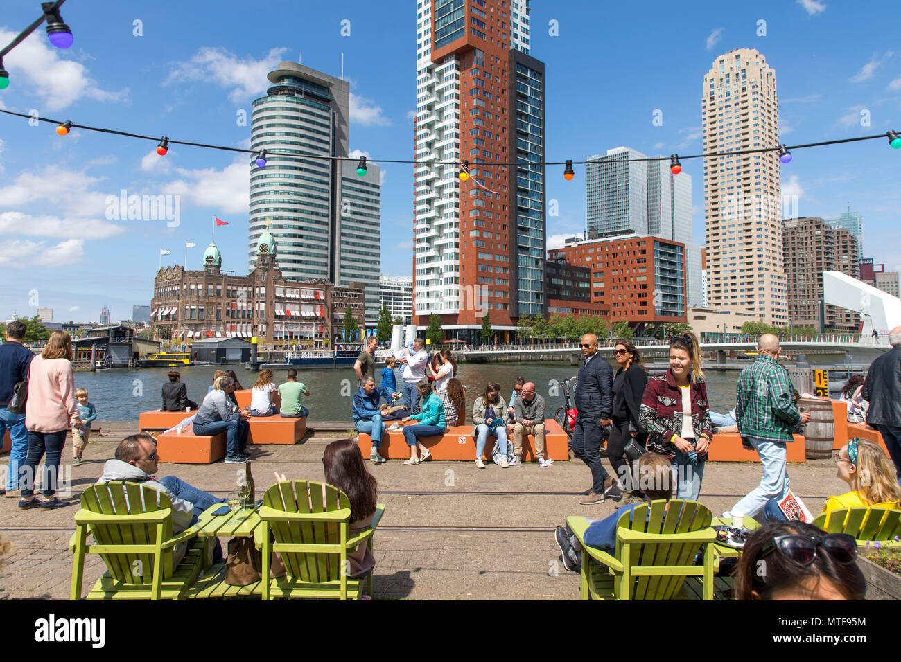View of the skyline of Rotterdam, from the Fenix Food Factory, covered ...