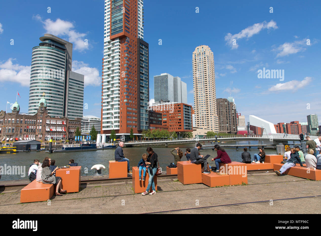 View of the skyline of Rotterdam, from the Fenix Food Factory, covered ...