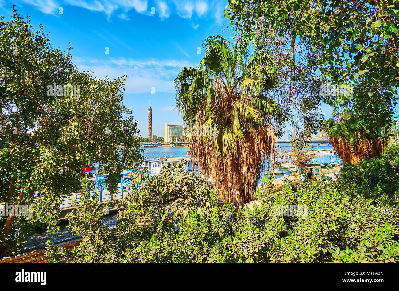 Enjoy the lush greenery of riverside garden with a view on Cairo Tower ...