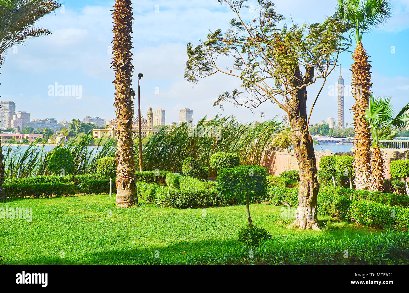 The view on Cairo Tower on Gezira Island through the trees of the ...