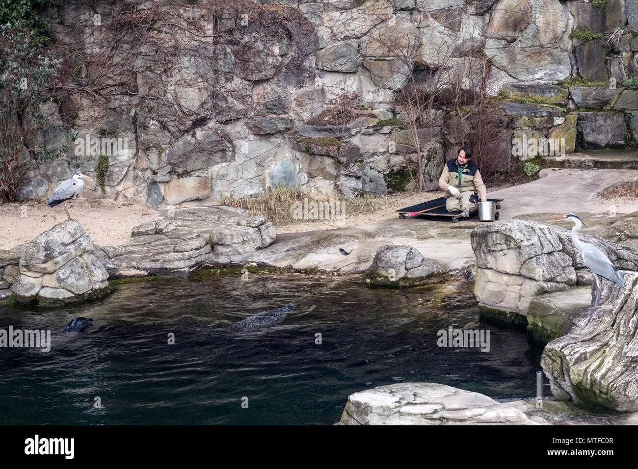 Zoo worker hi-res stock photography and images - Alamy