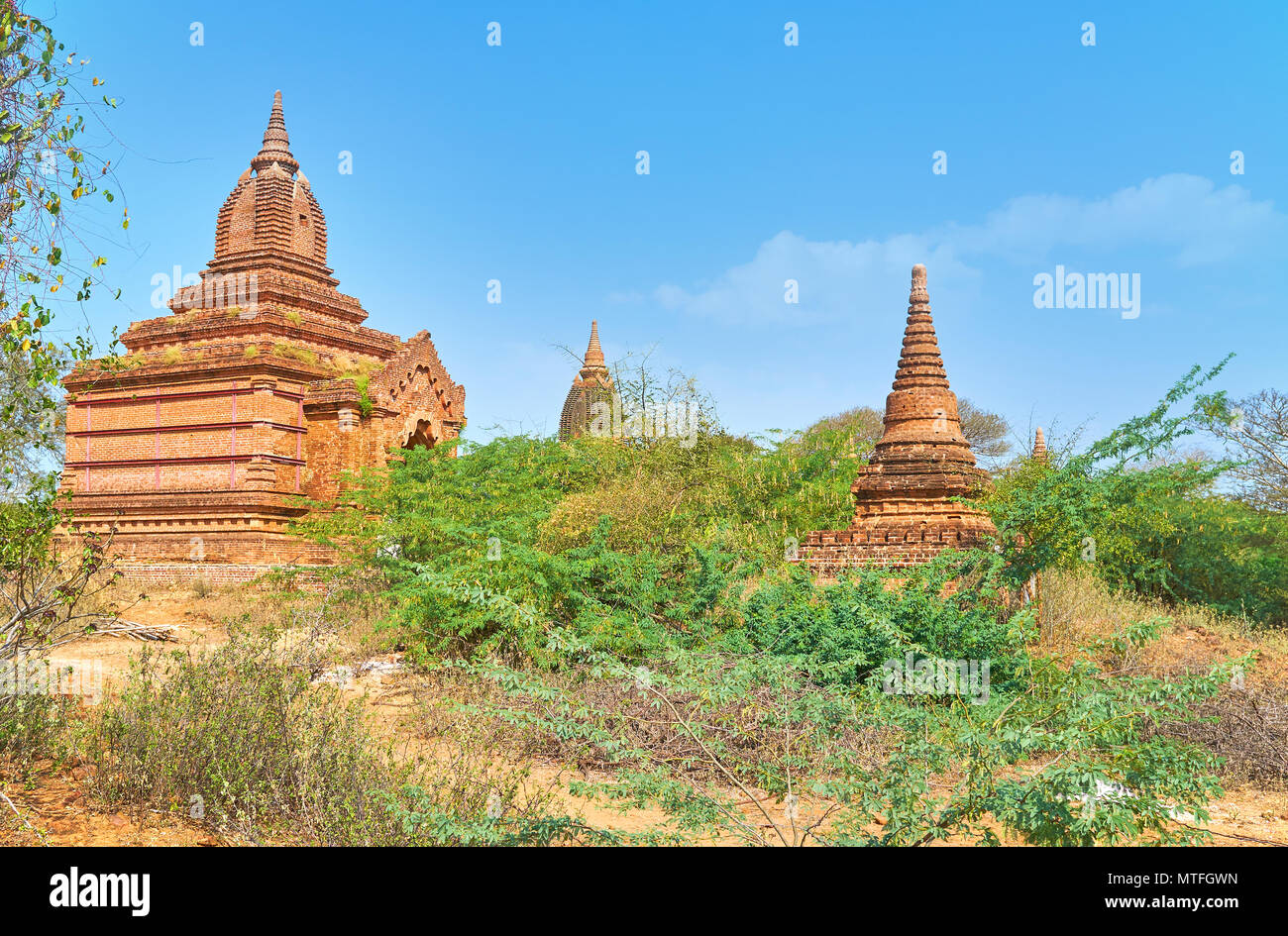 Numerous temples and stupas of Bagan archaeological park connected by ...