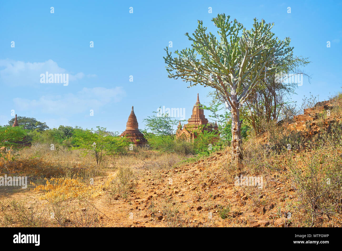 Bagan archaeological park is one of the most silent and calm place in ...