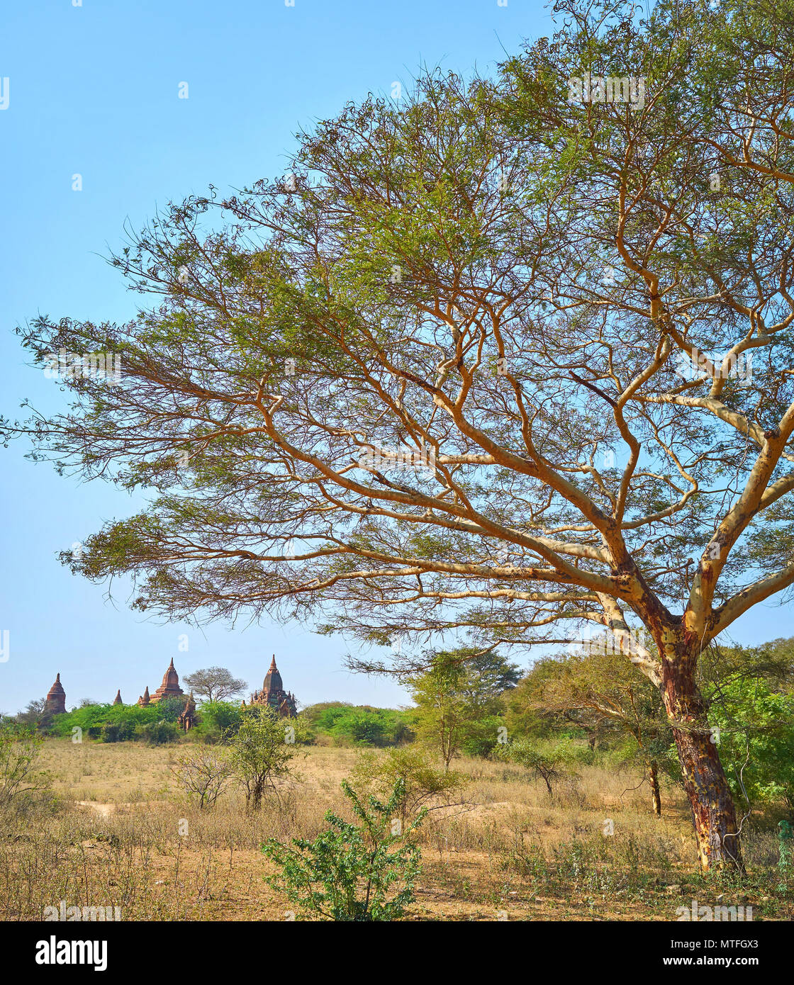 Bagan archaeological park is a very nice place to be alone with a ...
