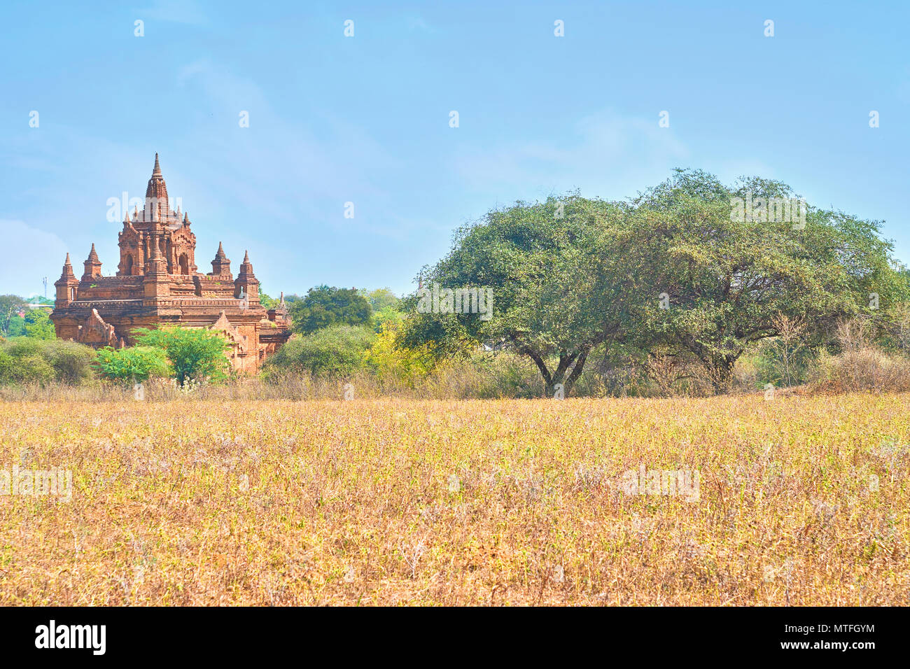 Beautiful landscape of Bagan archaeological park with temple on the ...