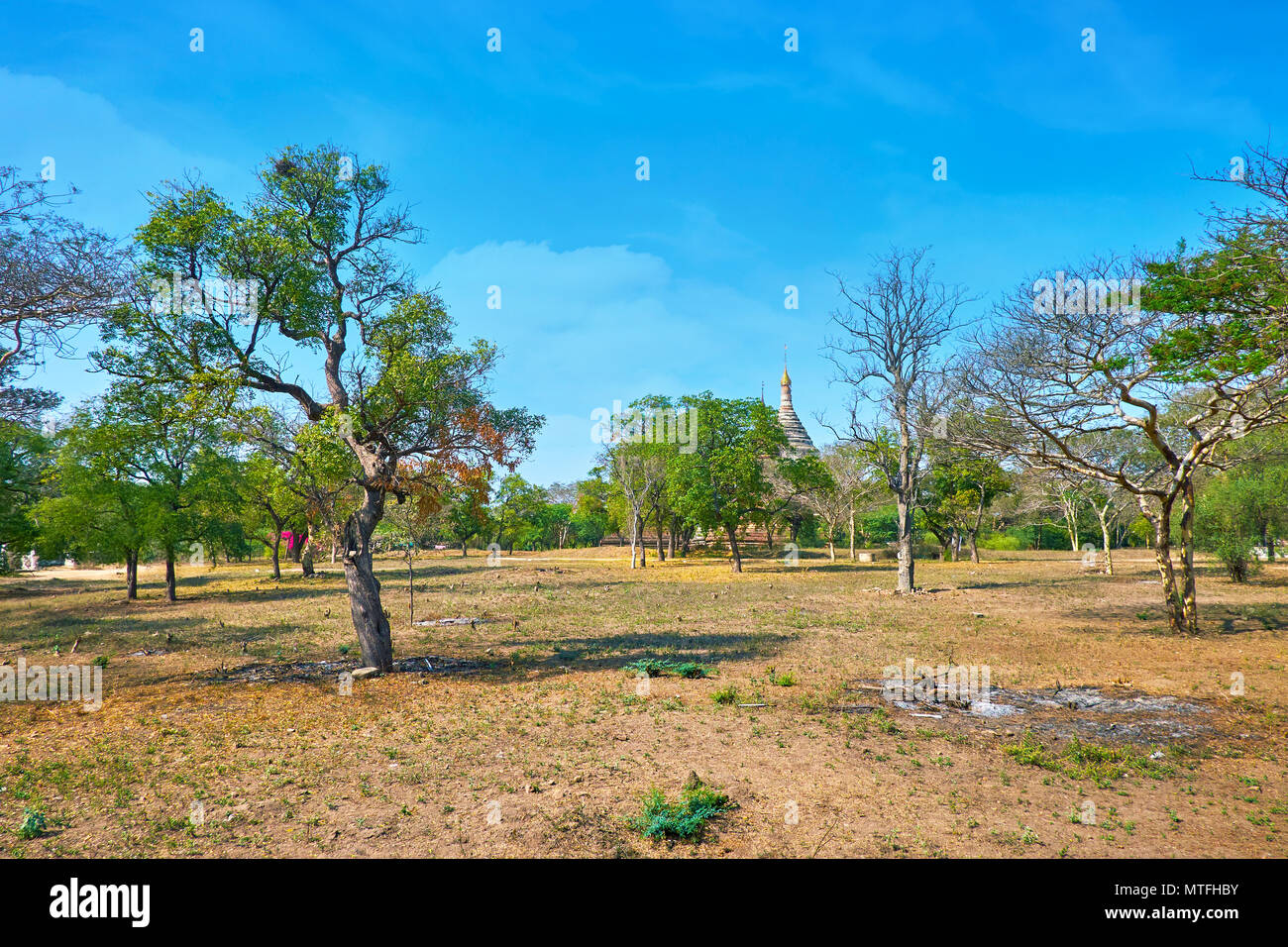 Bagan archaeological park located in savanna territory with dry climate ...