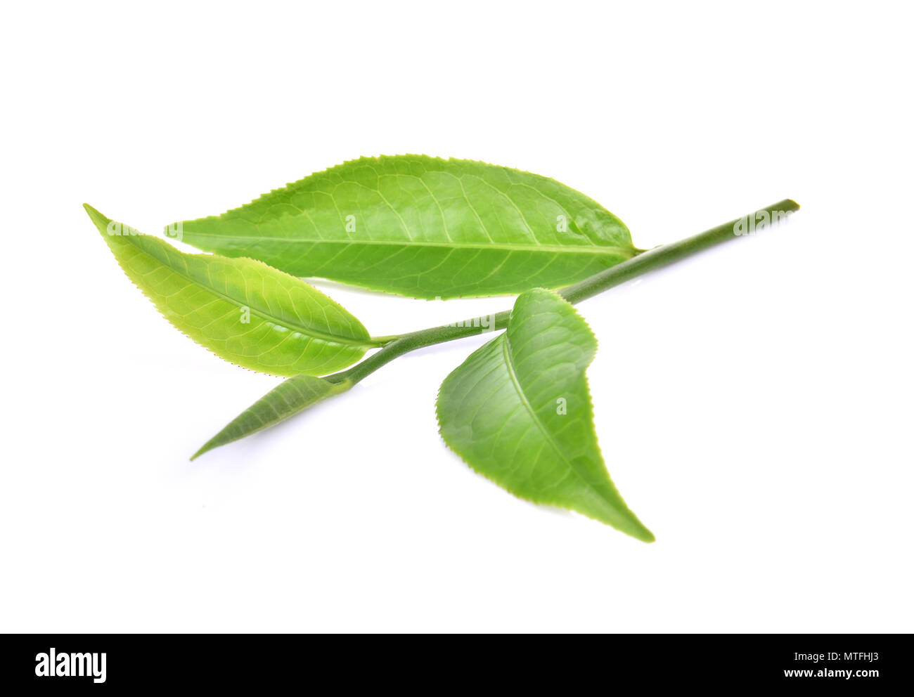 Green tea leaf,tea isolated on white background Stock Photo - Alamy