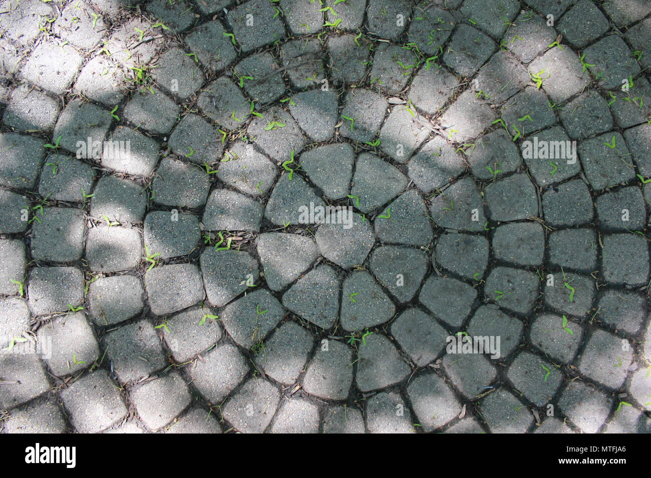 Ring of professionally landscaped masonry blocks radiating from the ...