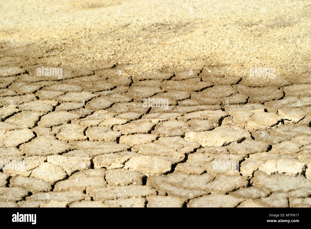 background - dried cracked saline soil, dry clay sprinkled with sand ...