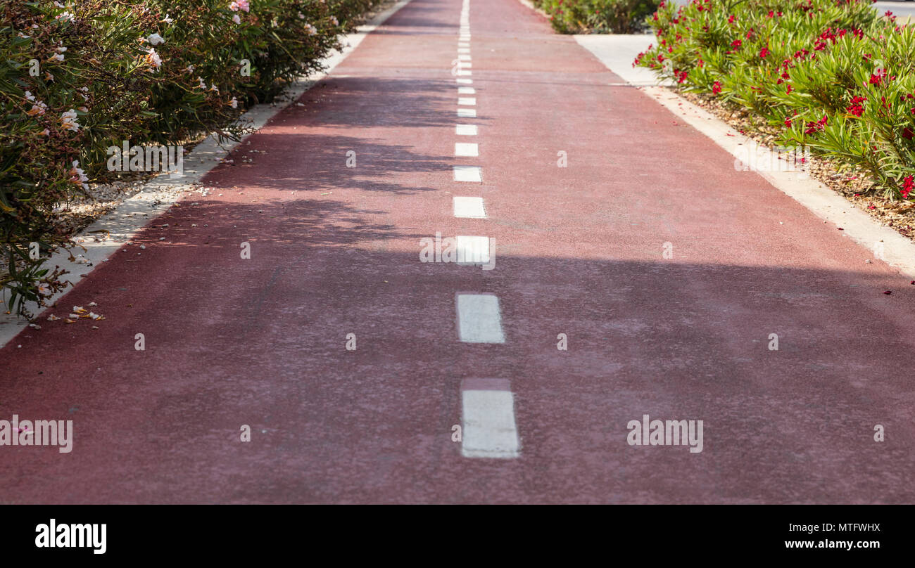 Bike lane. Red asphalt path with white lines for bicycles Stock Photo ...