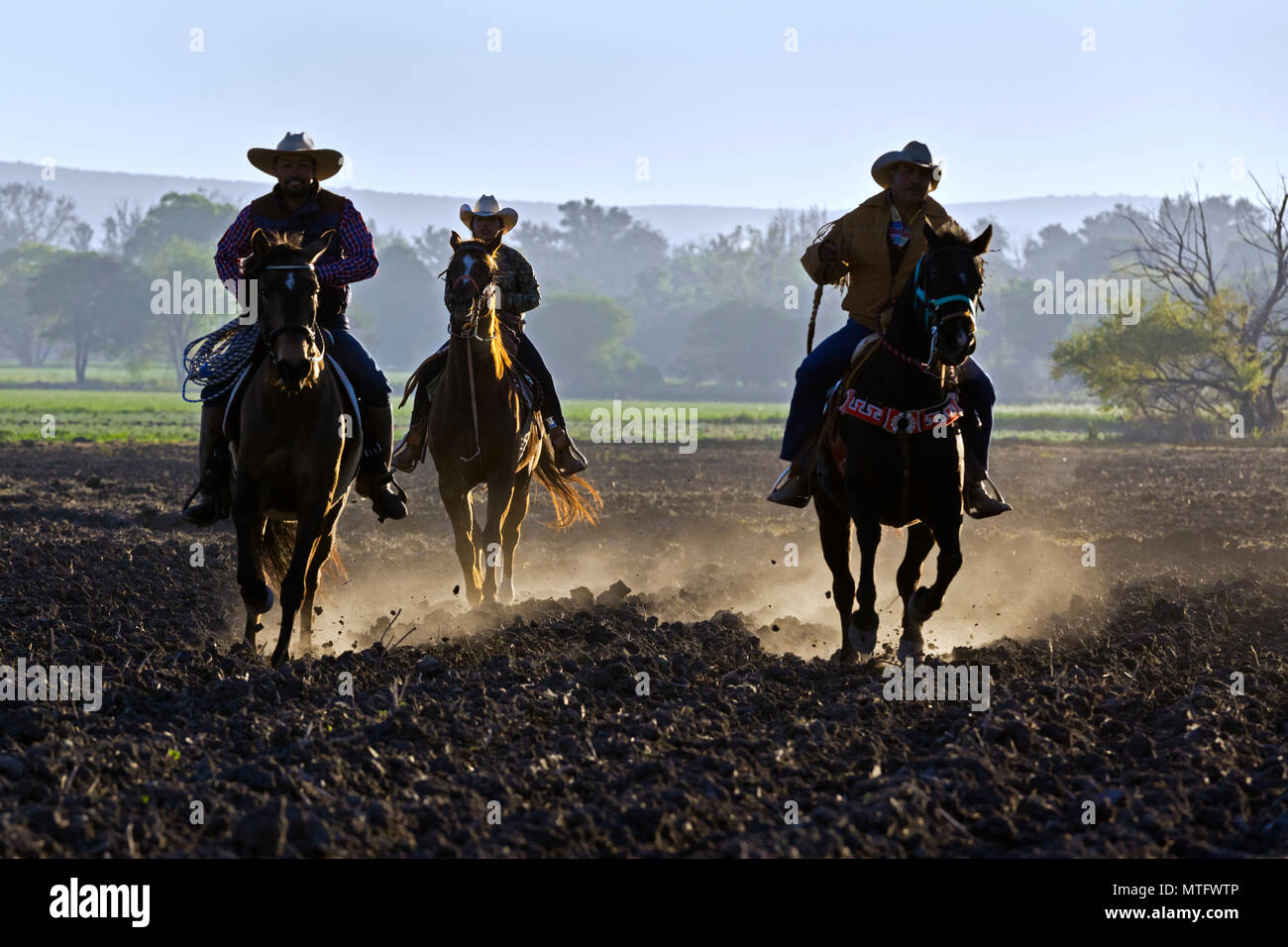 MEXICAN COWBOYS gallop in dawns early light - SAN MIGUEL DE ALLENDE ...
