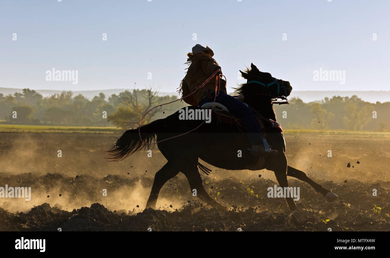 A MEXICAN COWBOY gallops in dawns early light - SAN MIGUEL DE ALLENDE ...