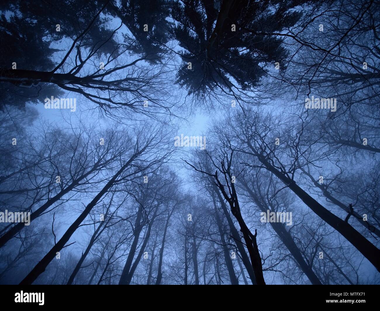 Spooky Wallpaper Winter Weather