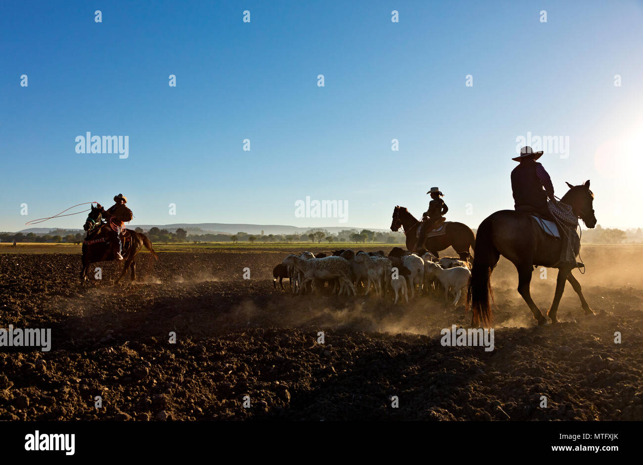 MEXICAN CABALLEROS herds sheep and at day break - SAN MIGUEL DE ALLENDE ...