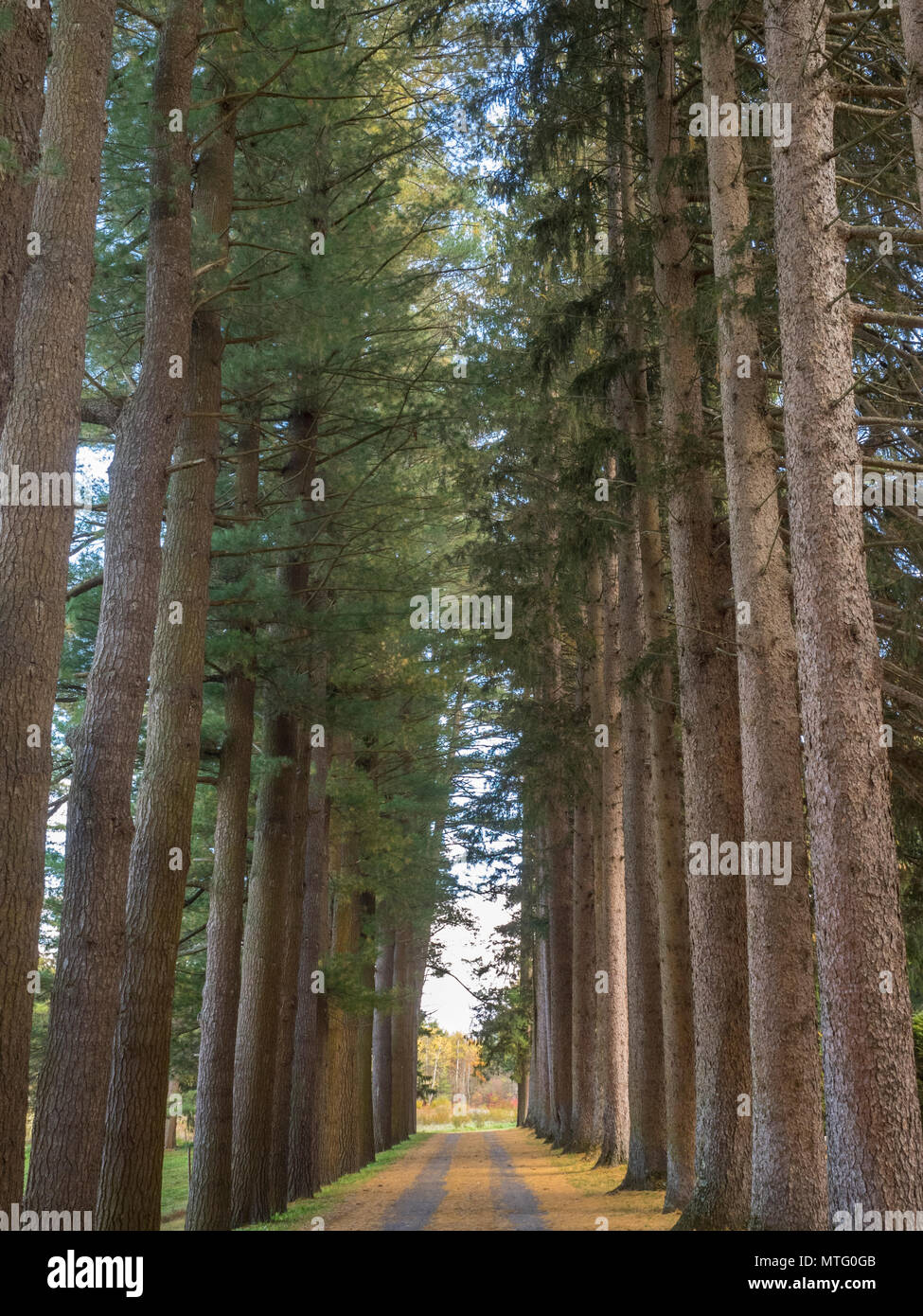 Straight lane hi-res stock photography and images - Alamy