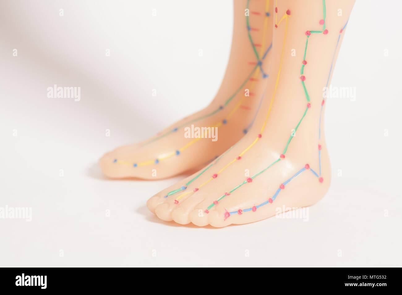Medical acupuncture model of human feet on white background Stock Photo ...
