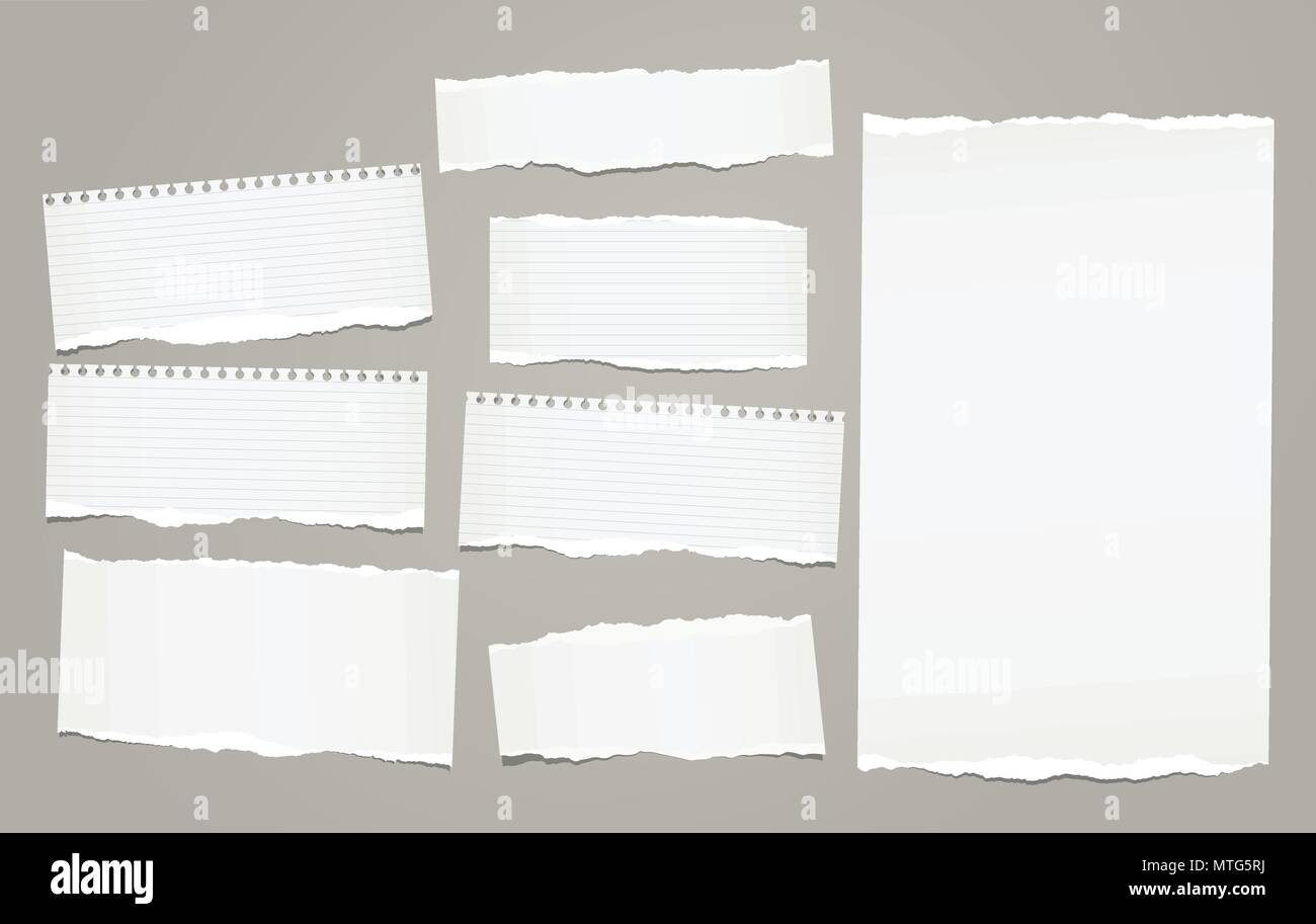 White lined torn note, notebook paper pieces for text stuck on gray ...