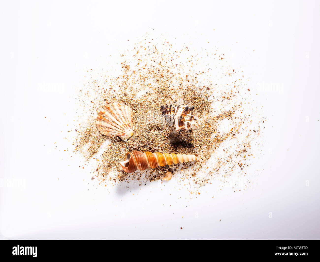 Spiral seashell hi-res stock photography and images - Alamy