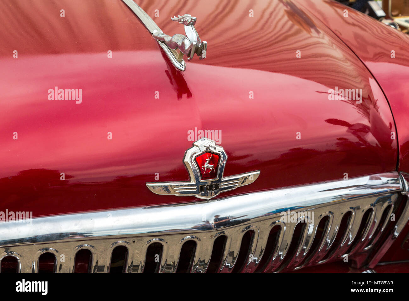 Car Brand With Deer Logo