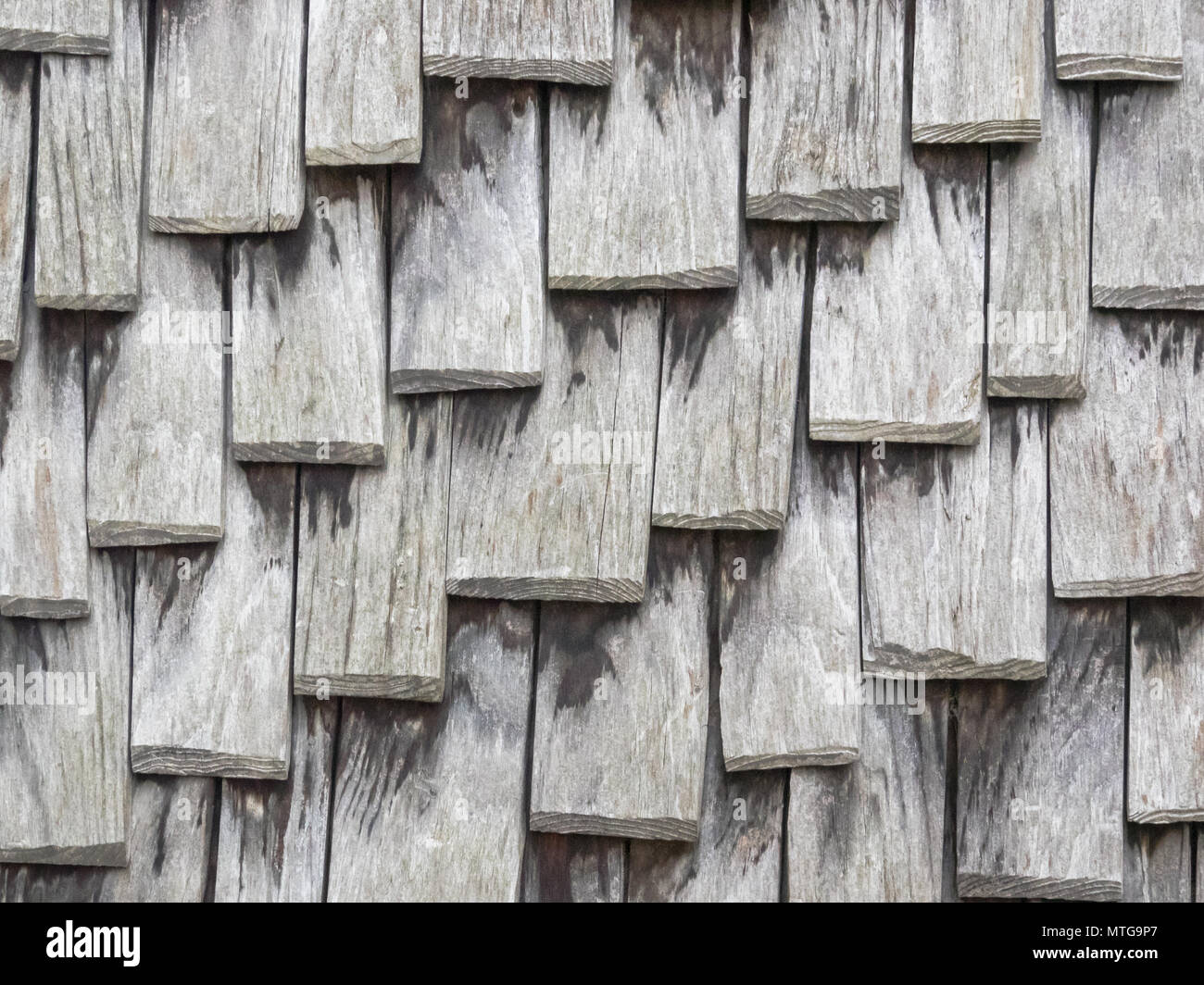 Old wooden clapboards to use as background Stock Photo - Alamy