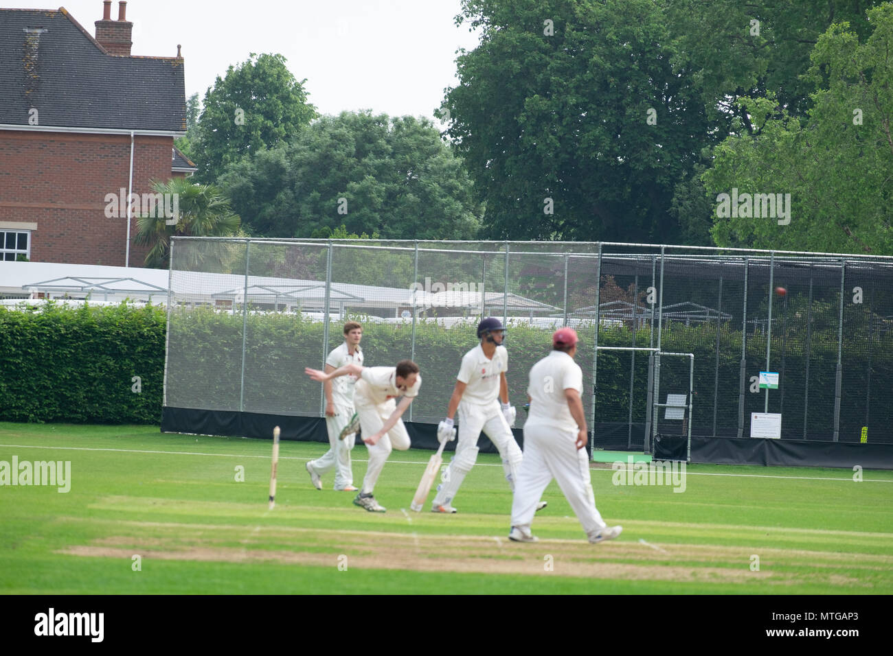 Surrey cricket fielders hi-res stock photography and images - Alamy