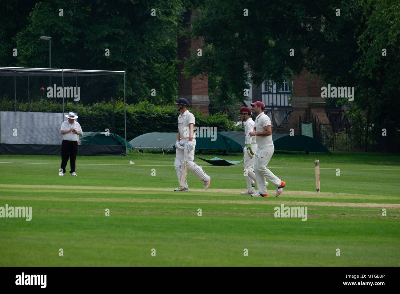 Surrey cricket fielders hi-res stock photography and images - Alamy