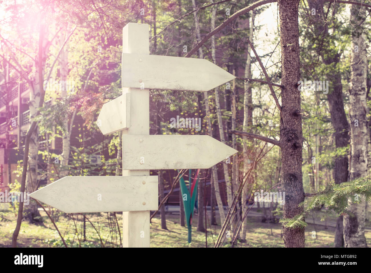Old wooden signpost in the Park. Natural background toning glow Stock ...