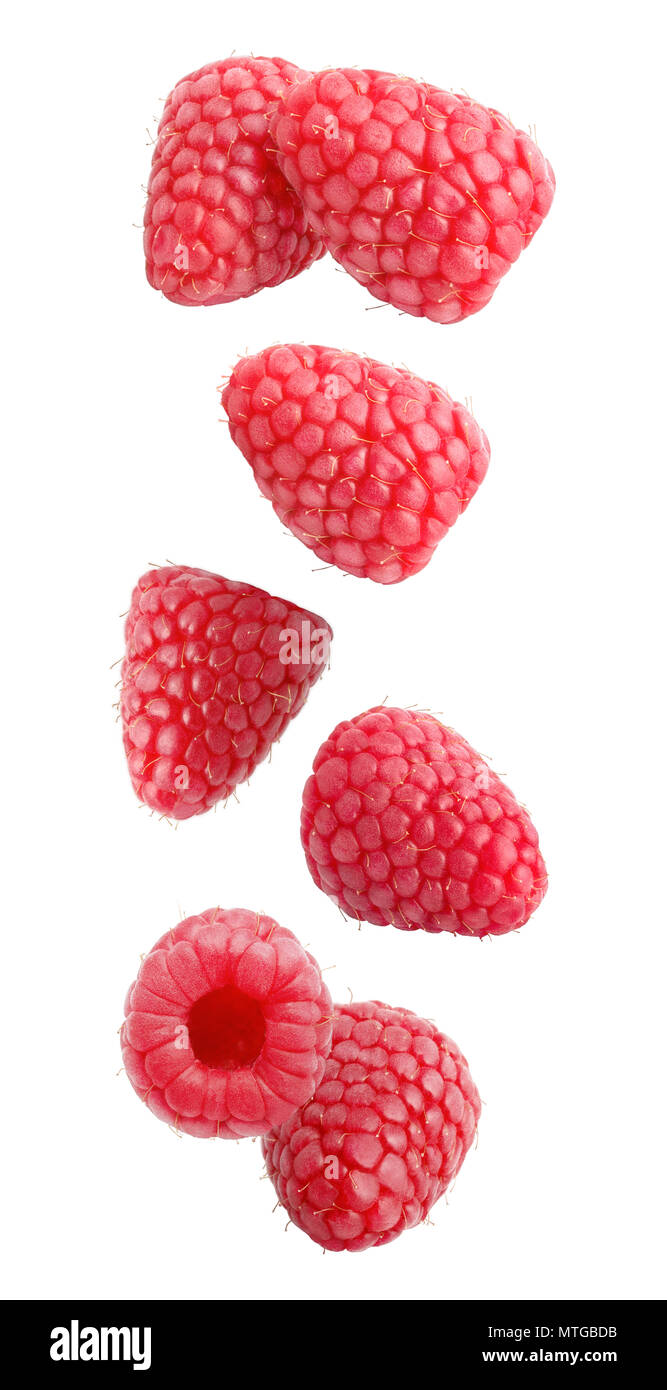 Isolated flying berries. Falling raspberry fruits isolated on white ...