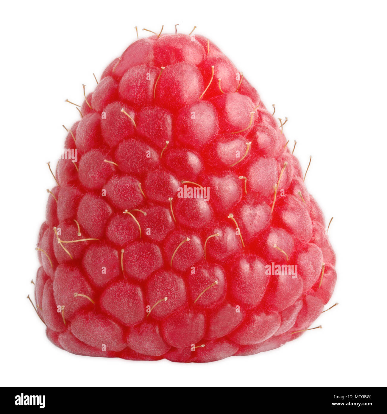 Isolated berries. One raspberry isolated on white background with ...