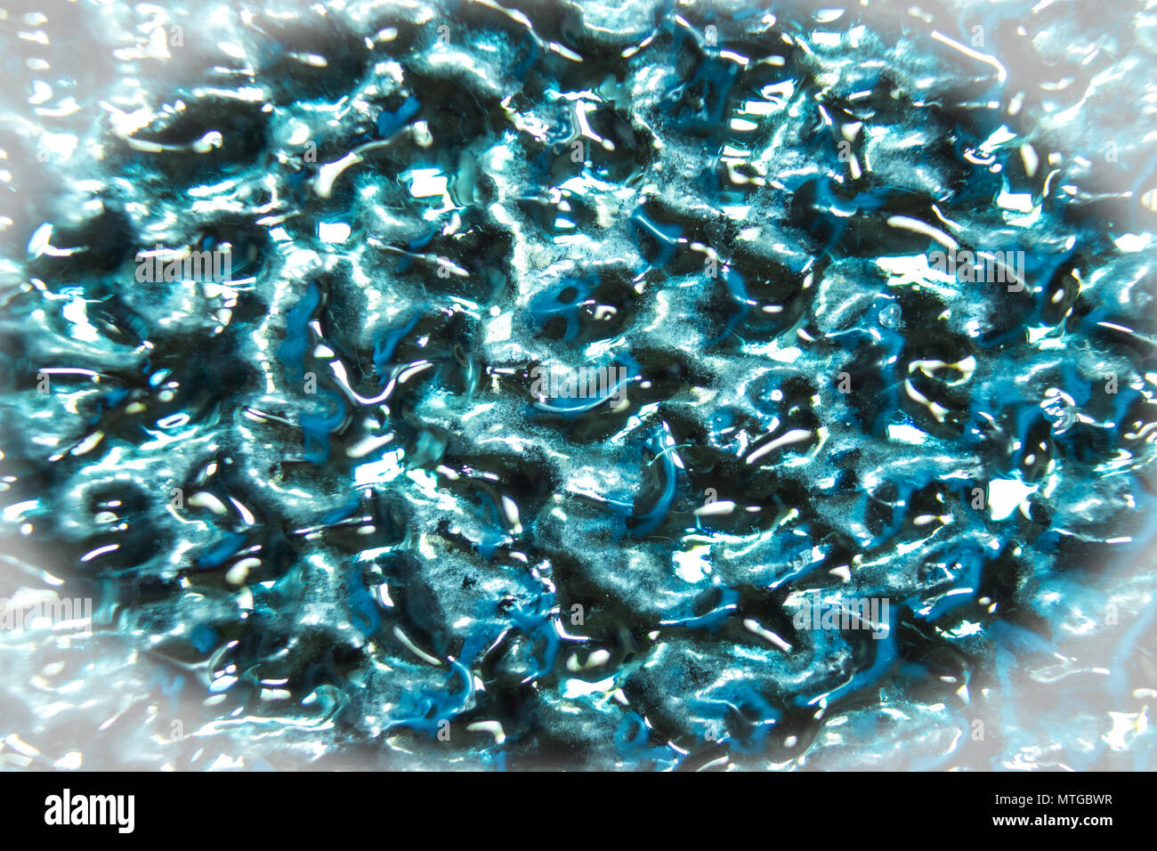 Macro of the cyan glass of the door in the vignette Stock Photo - Alamy