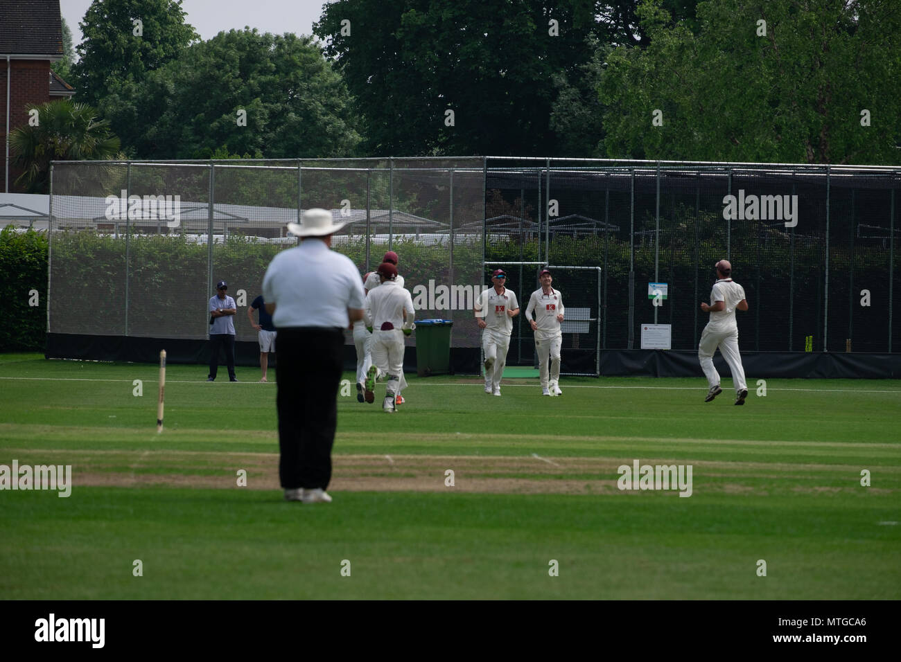 Surrey cricket fielders hi-res stock photography and images - Alamy