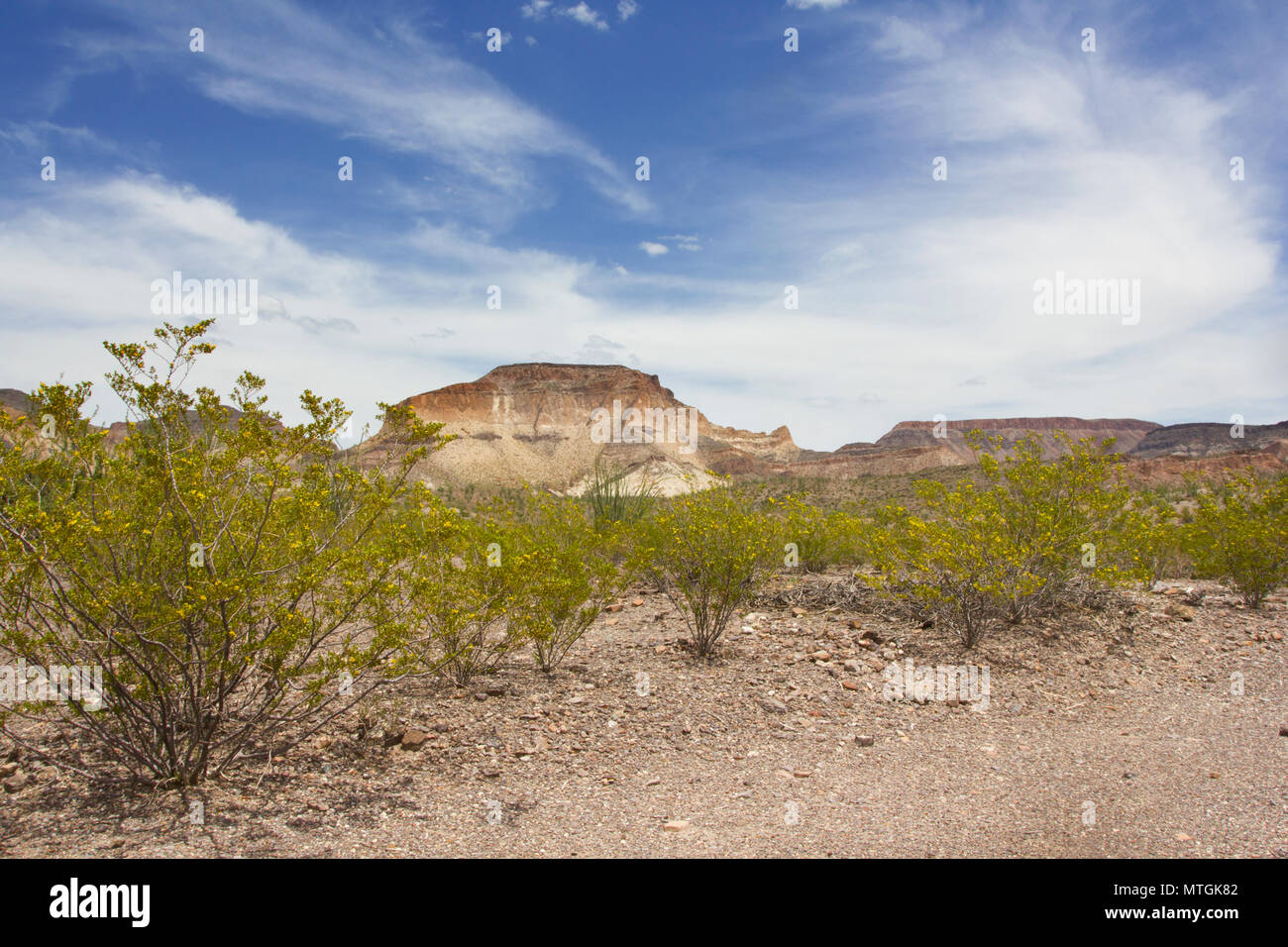 Texas hill country scenery hi-res stock photography and images - Alamy