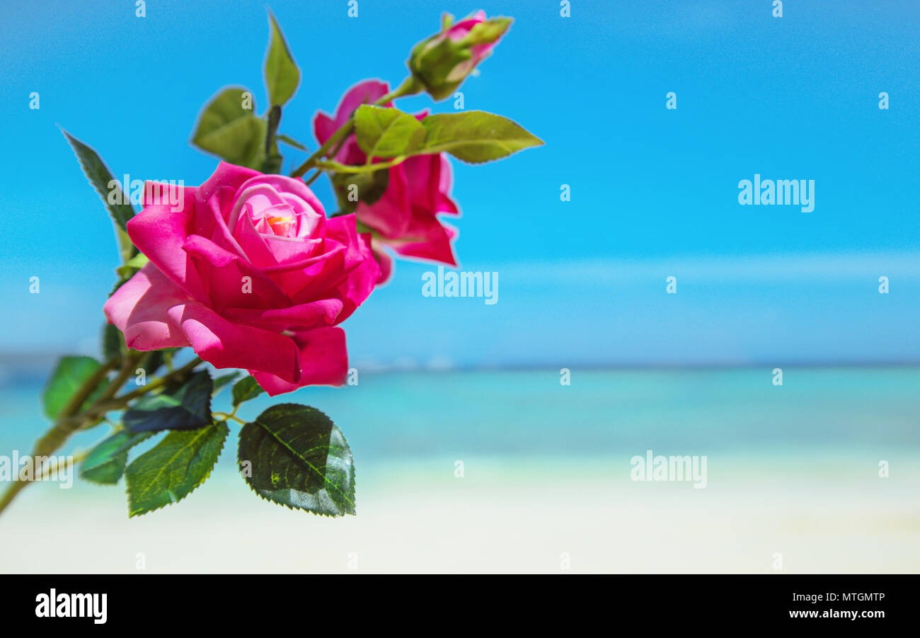 Tropical oceans hi-res stock photography and images - Alamy