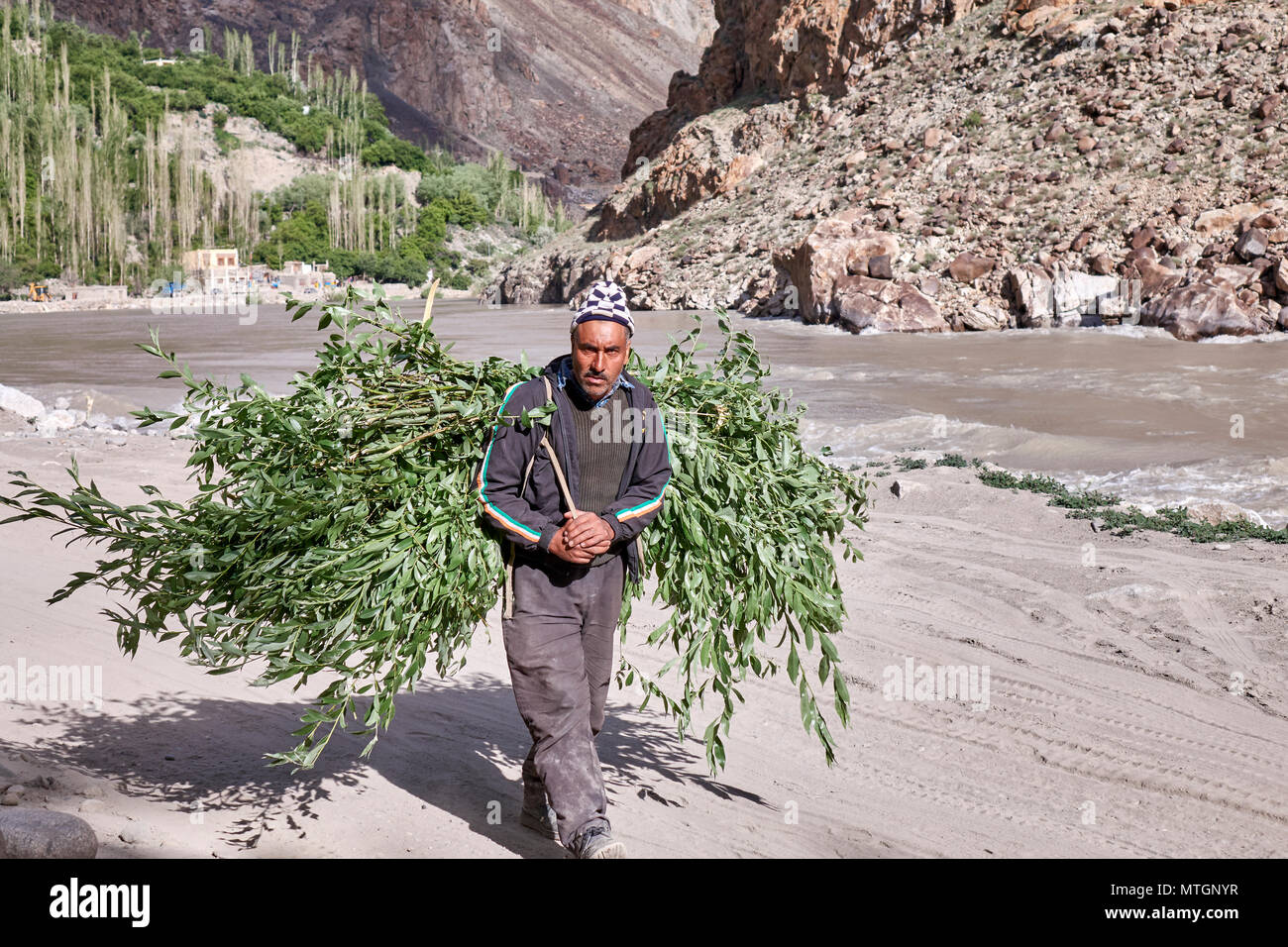 Mountain porter by river valley Ladakh Stock Photo - Alamy