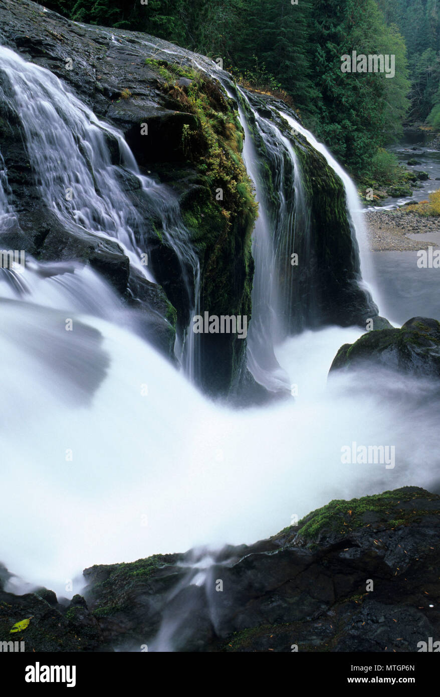 Upper Lewis River Falls, Gifford Pinchot National Forest, Washington ...