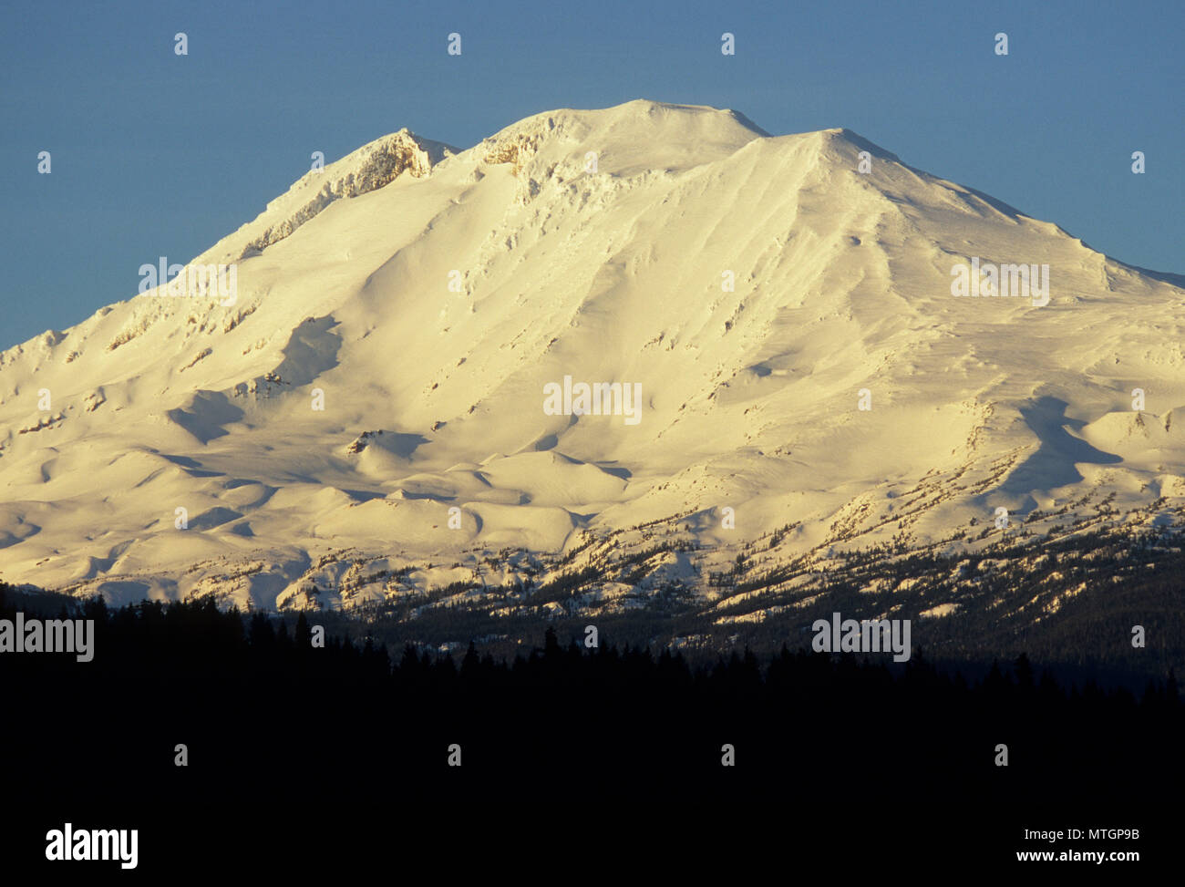 Mt Adams view, Trout Lake Natural Area Preserve, Washington Stock Photo ...