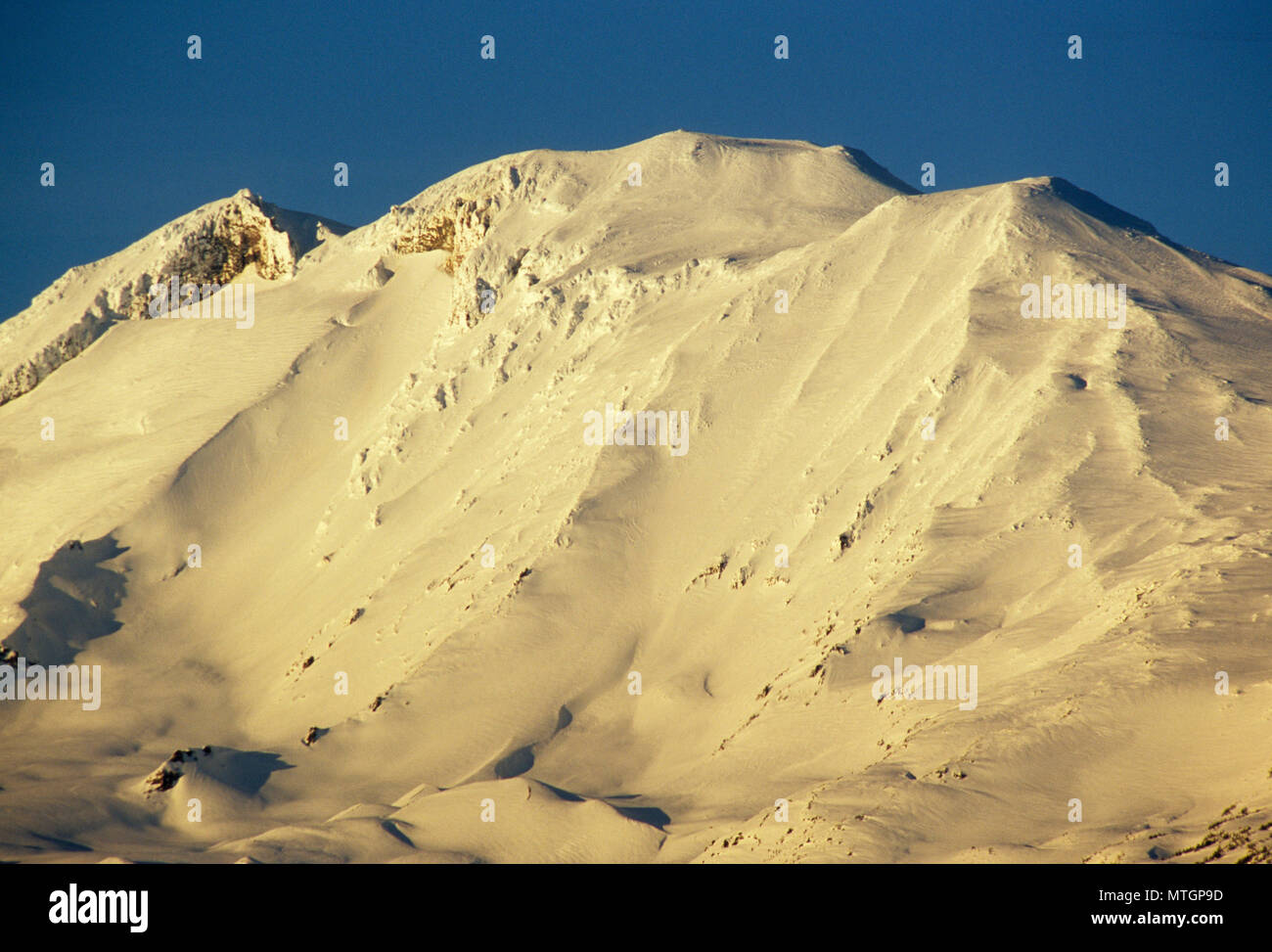 Mt Adams view, Trout Lake Natural Area Preserve, Washington Stock Photo ...