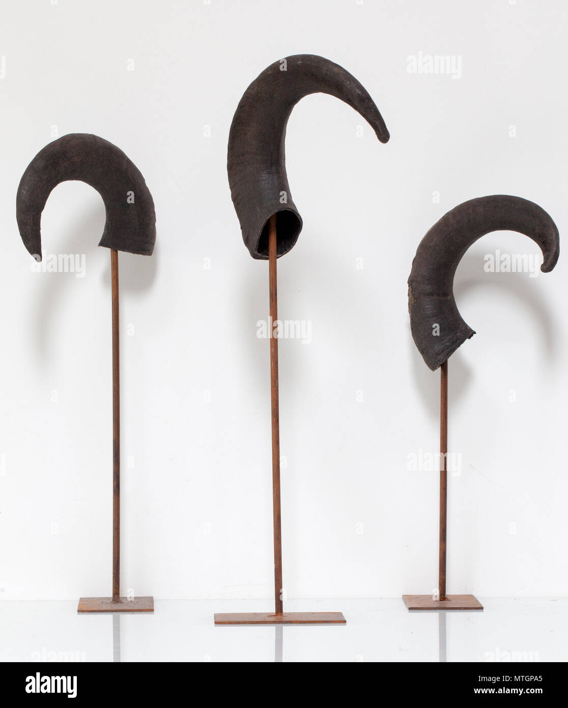 Three Rams Horns Sculpture Stock Photo - Alamy