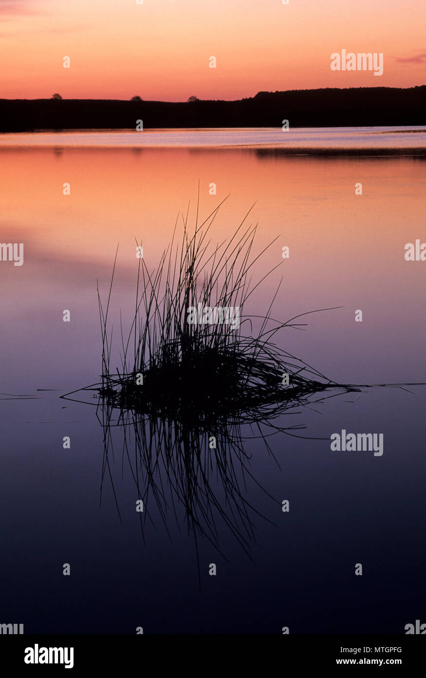 Stan coffin lake hi-res stock photography and images - Alamy