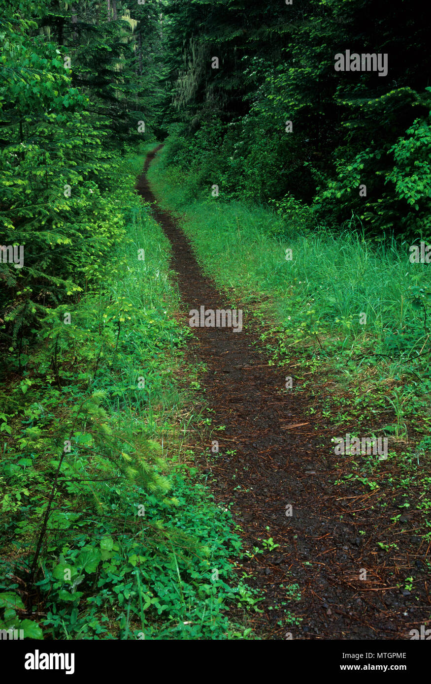 Tucannon river trail hi-res stock photography and images - Alamy