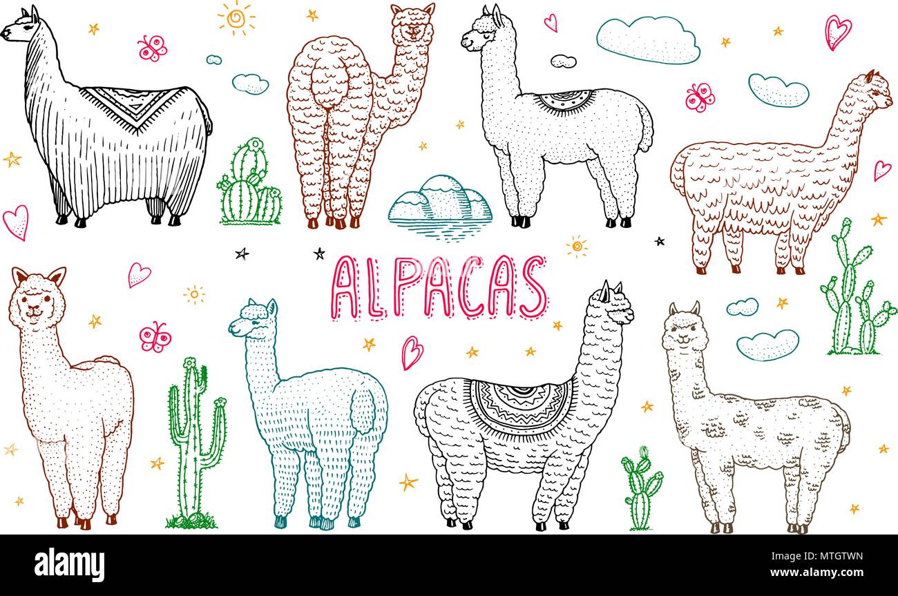 Set of cute Alpaca Llamas or wild guanaco on the background of Cactus ...
