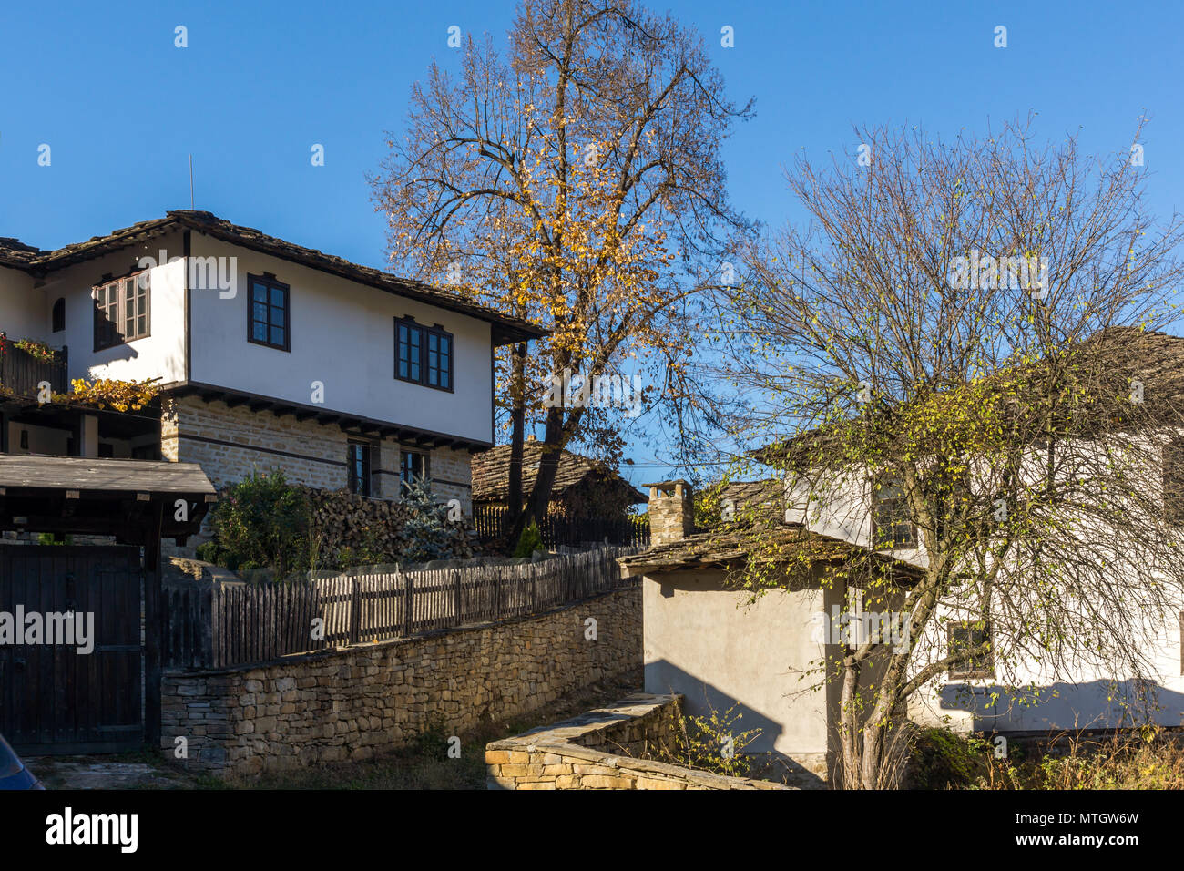 Panorama with autumn tree in village of Bozhentsi, Gabrovo region ...