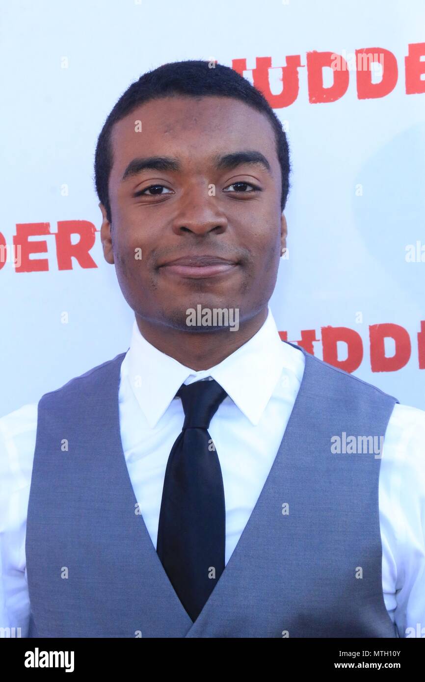 Rod Hernandez's Instagram, Twitter & Facebook on IDCrawl