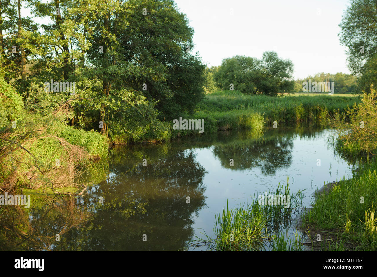 Small river in sun hi-res stock photography and images - Alamy