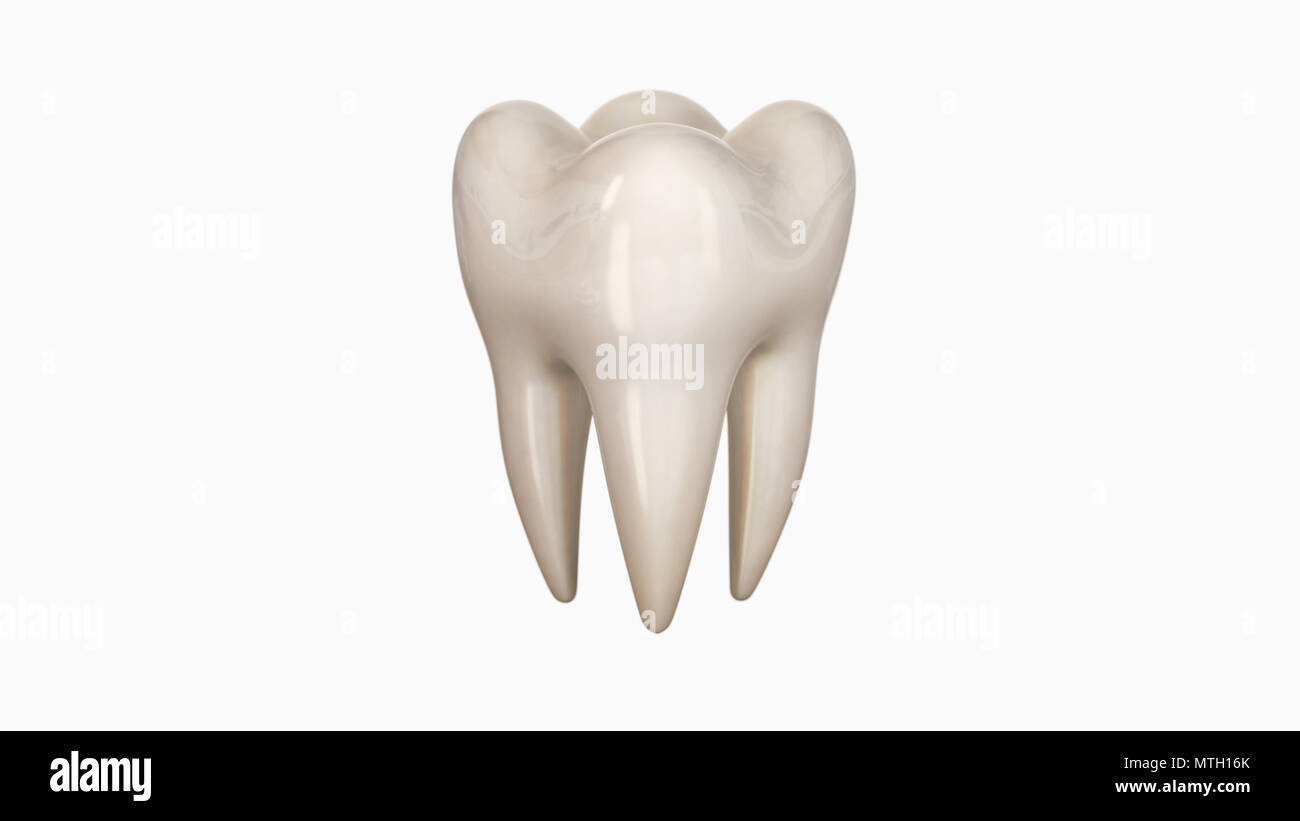 Human tooth no people Cut Out Stock Images & Pictures - Alamy