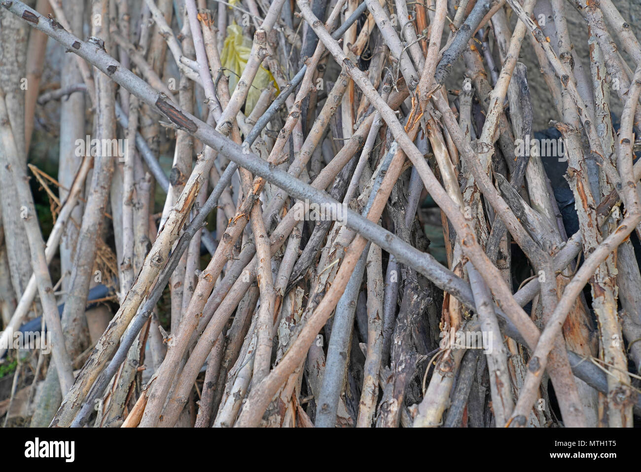 Dry colorful branches, sticks background Stock Photo - Alamy