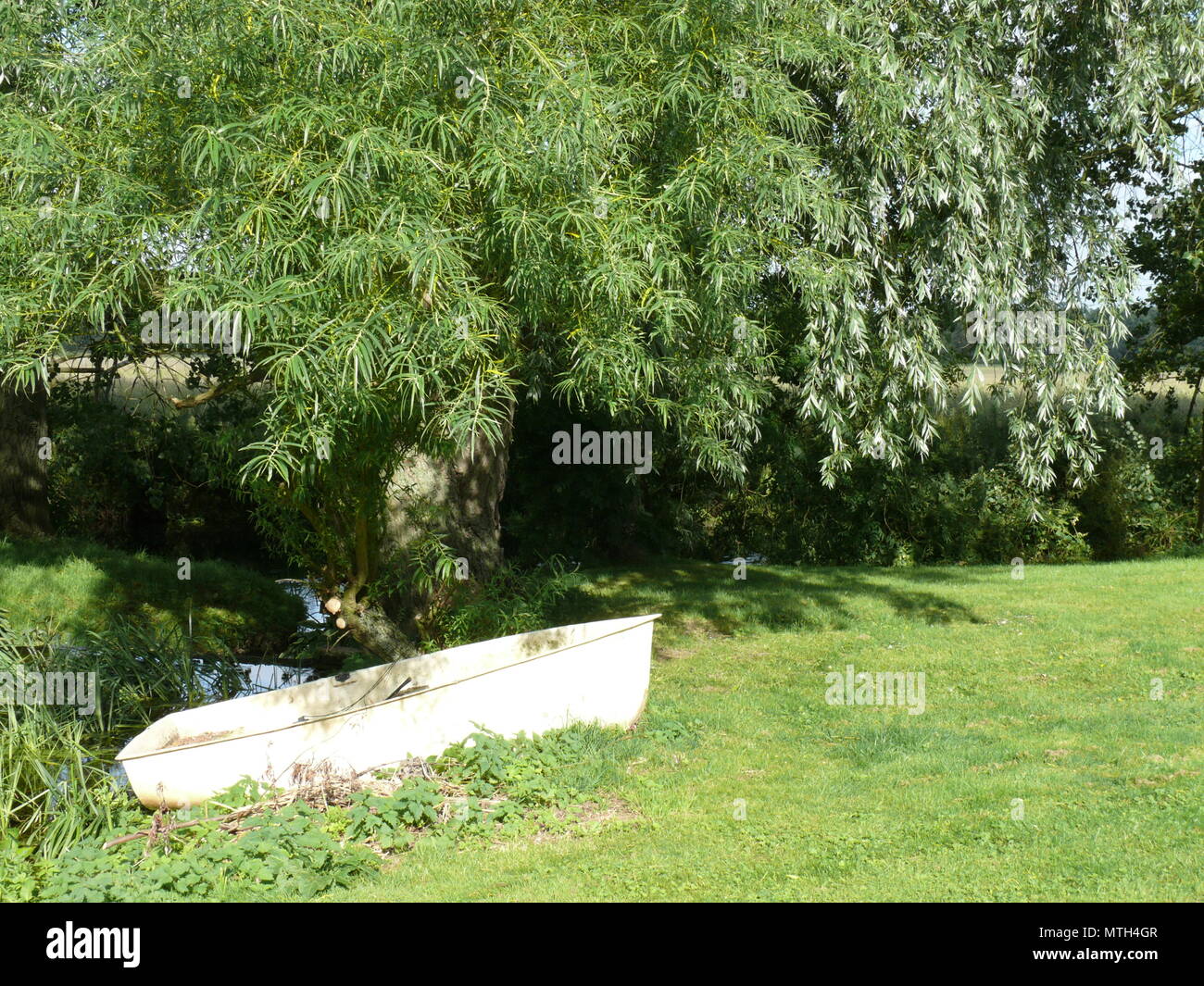Grassy river bank hi-res stock photography and images - Alamy