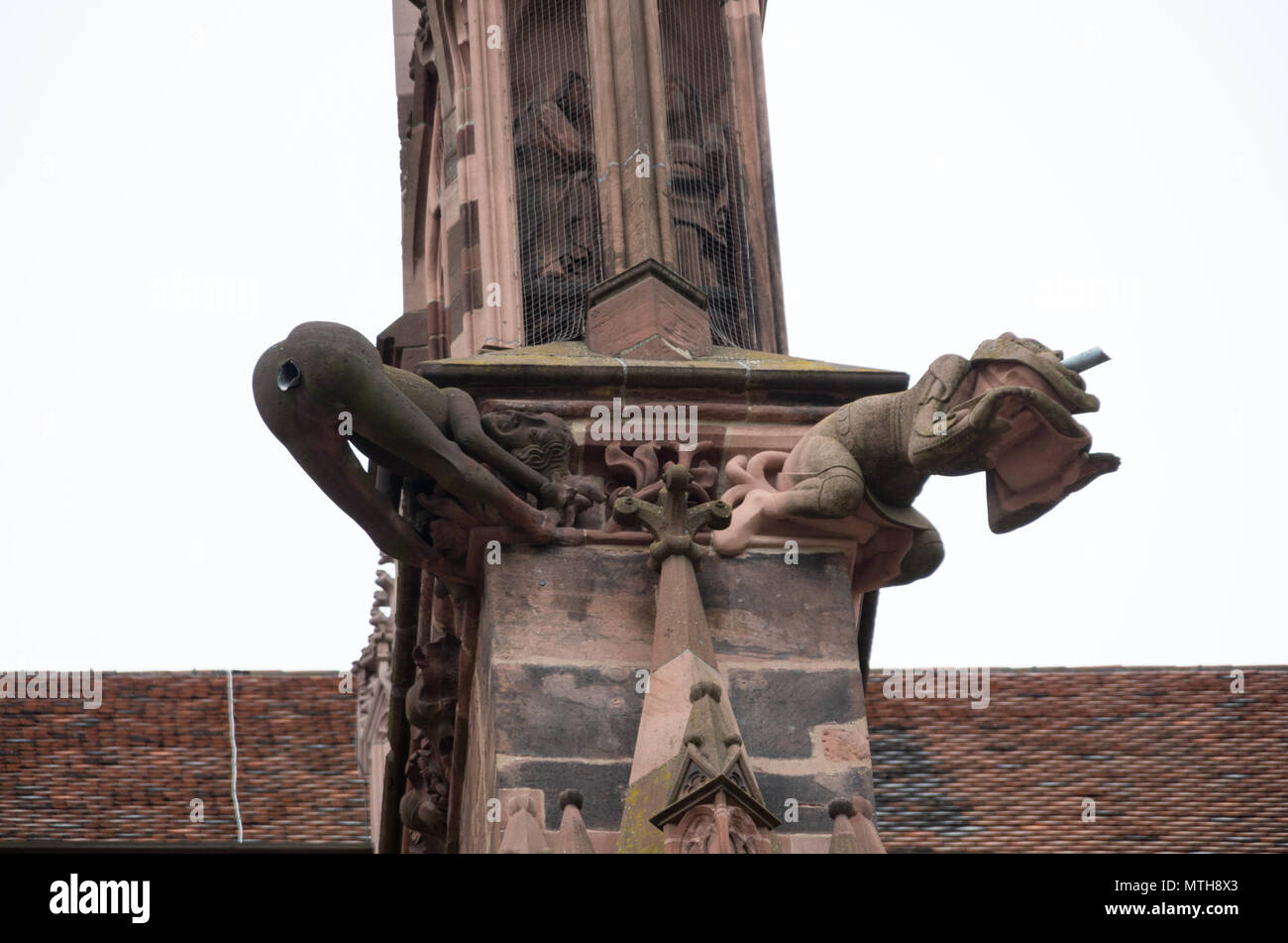 Weird gargoyle on the side of the munster where the water flows out the ...
