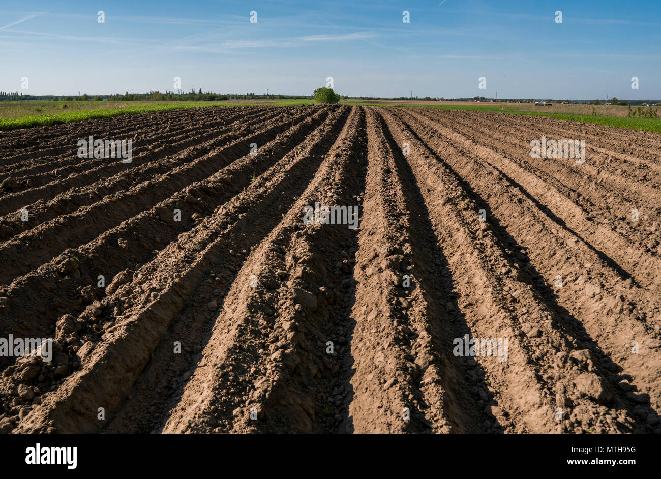 Plowed agricultural field. Landscape with agricultural land, recently ...