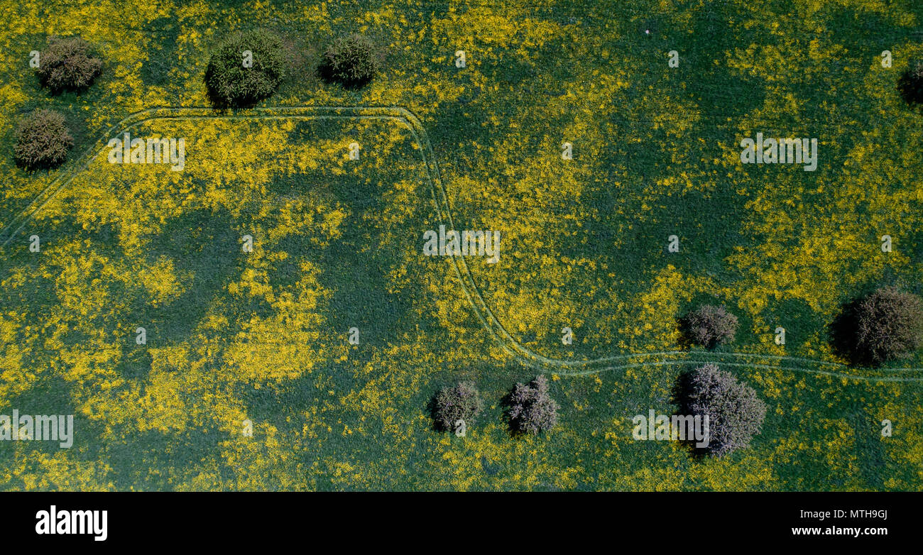 Aerialphoto hi-res stock photography and images - Alamy